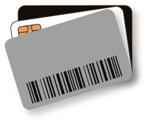 ZEBRA Card Pvc 30 Mil Mifare 1k Class - 800059-304 - Redcorp.com/en